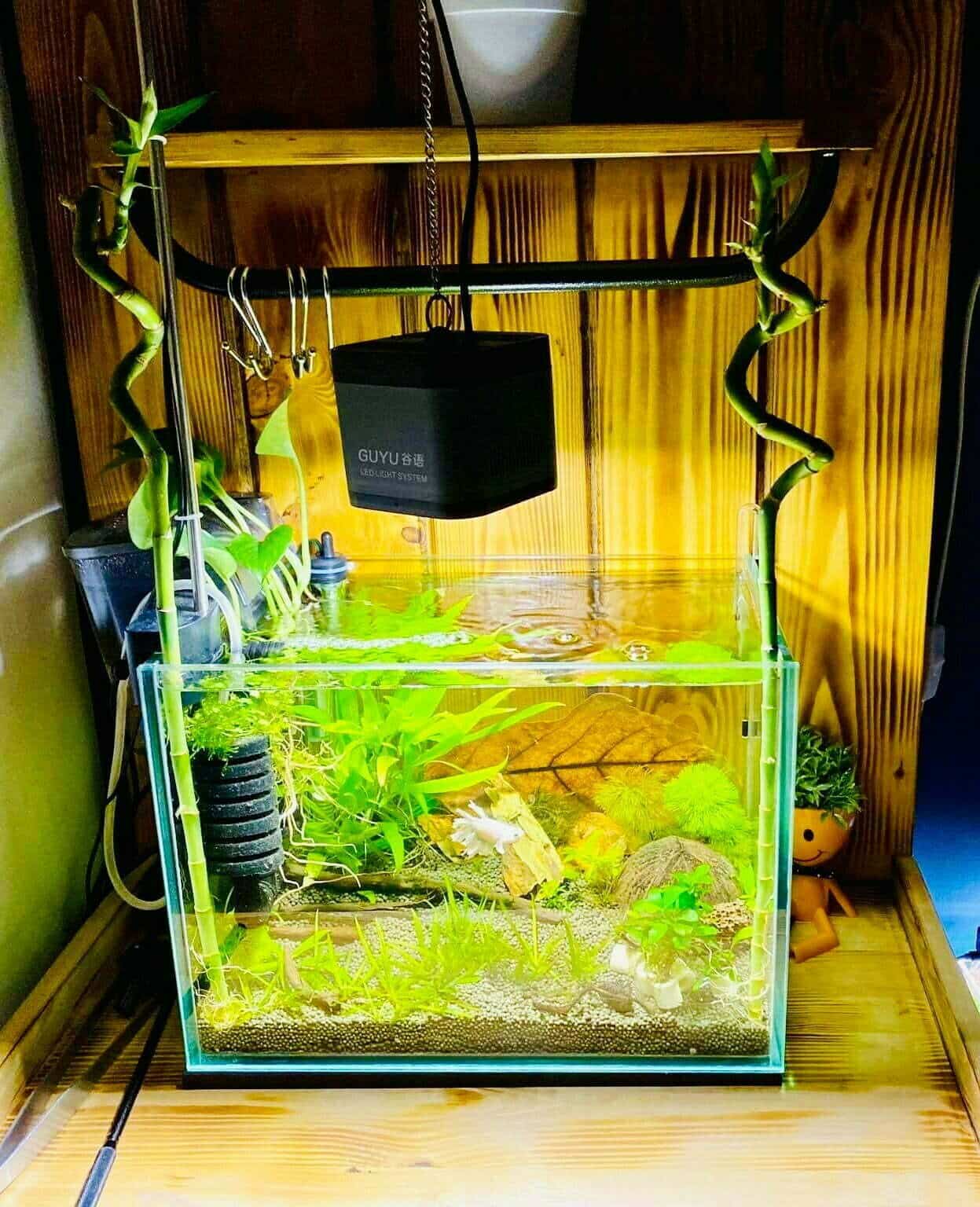 Ada Cube Garden Mini M | Fasci Garden